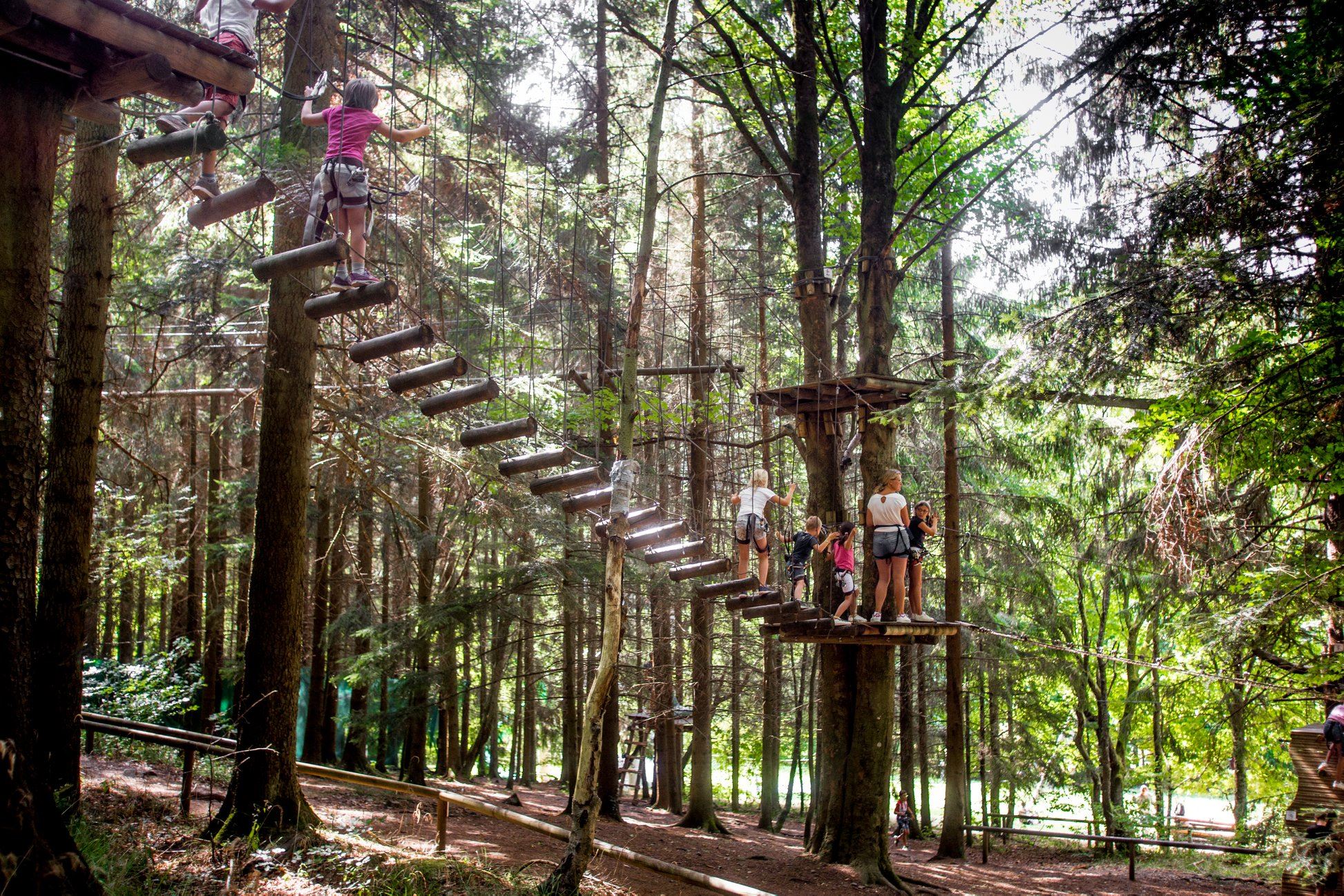 Parc Alsace Aventure : Accrobranche mais pas que … - Made In Alsace